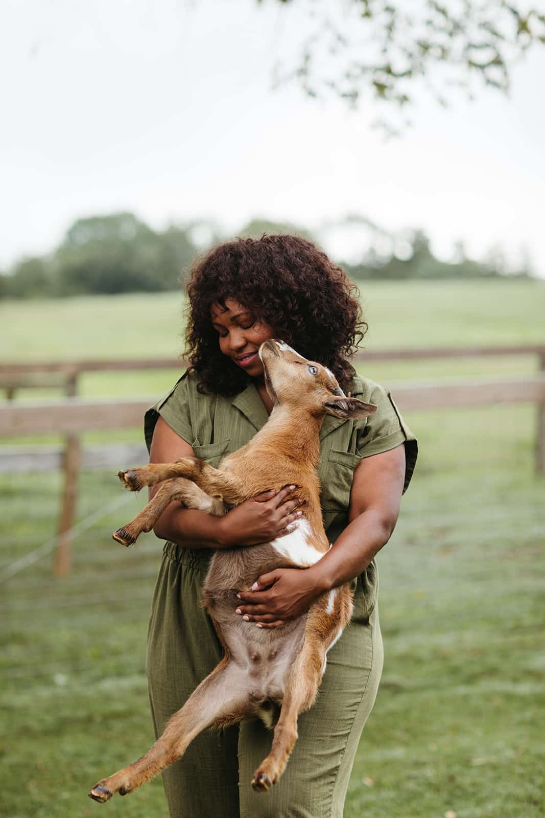 It Takes Two: How Our Four-Legged Friends Help Us Heal | How Animals ...