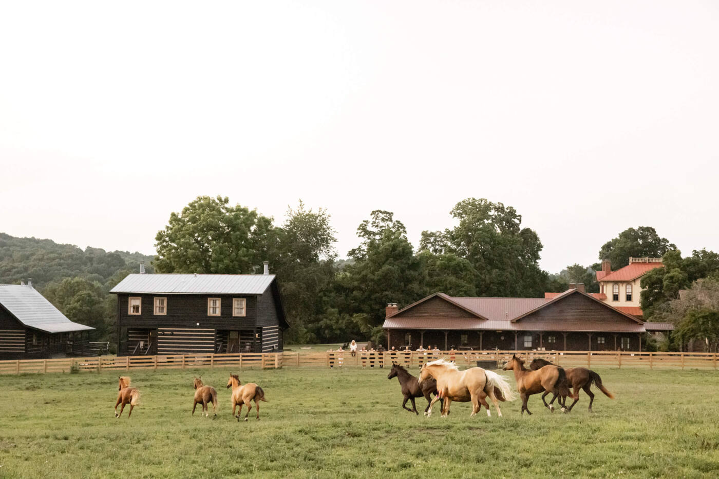 Healing Trauma Program | Trauma Recovery & Emotional Healing Retreat